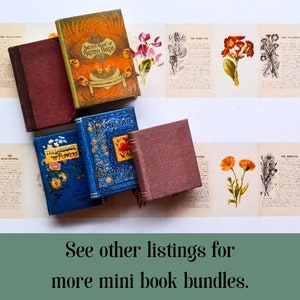 Super Saver Bundle of Printable Miniature Artist's Books, Set of 3, 1 ...