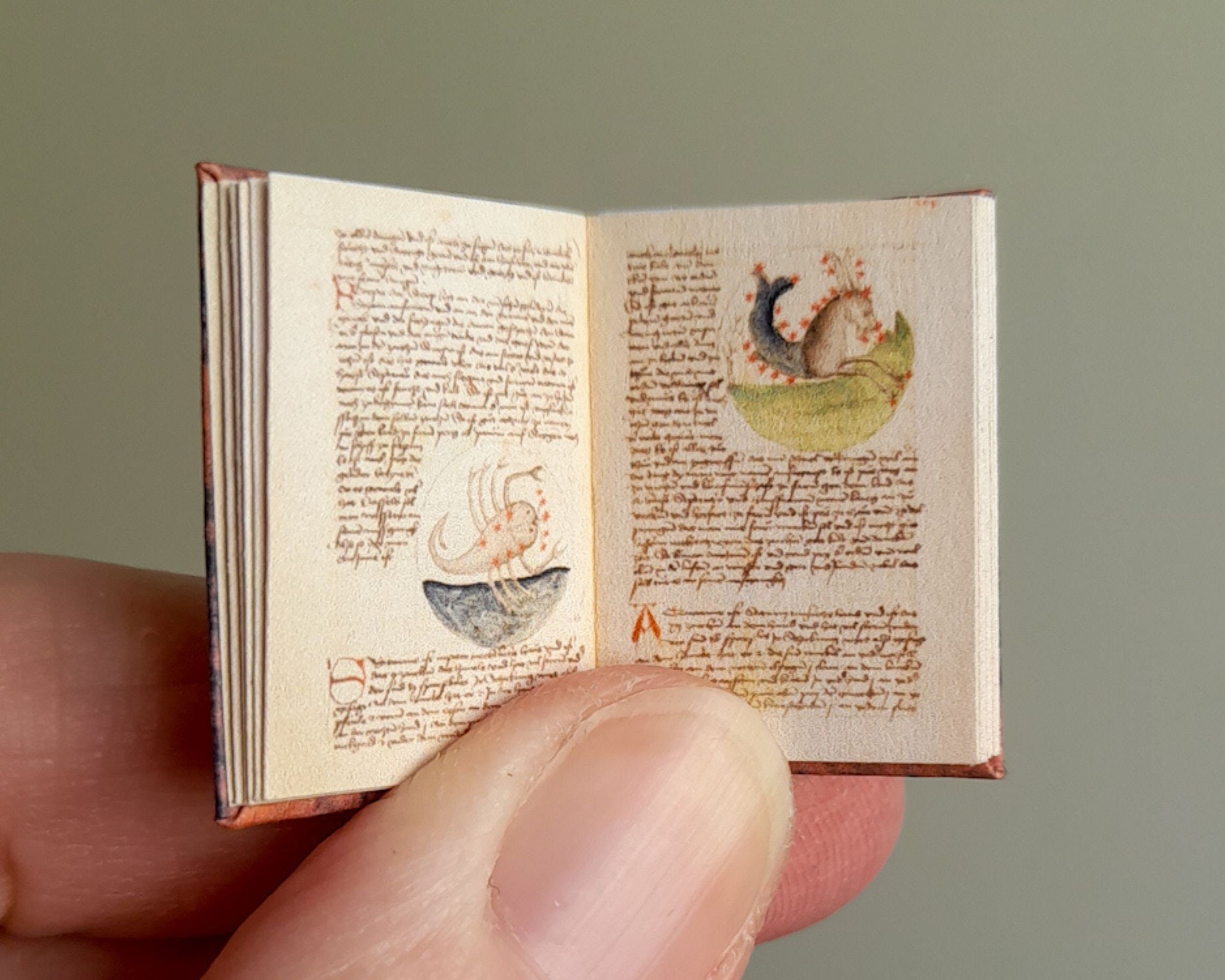Super Saver Bundle of Printable Miniature Books, Set of 5, 12th ...