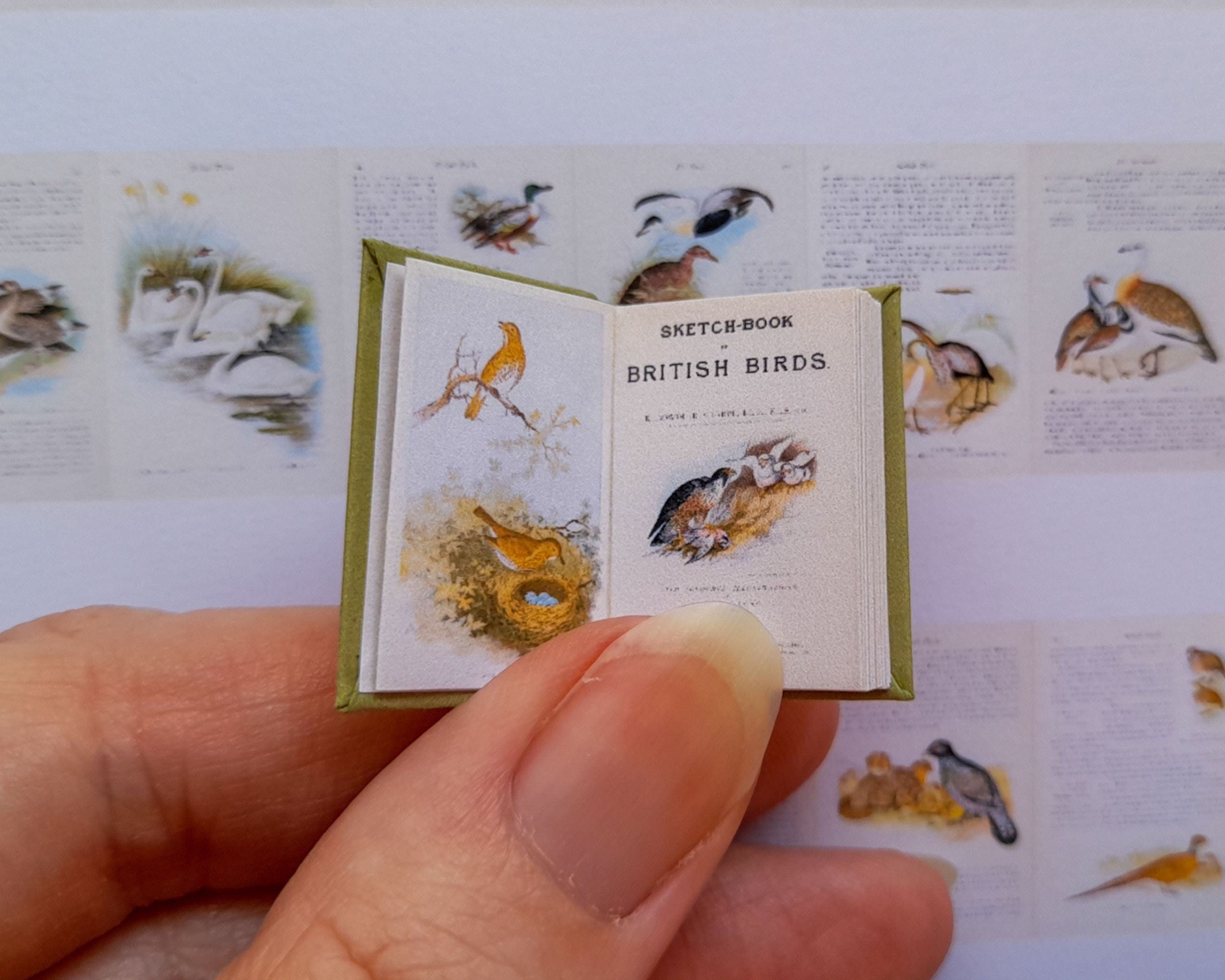 Printable Miniature Illustrated British Bird Book From 1898 - Etsy