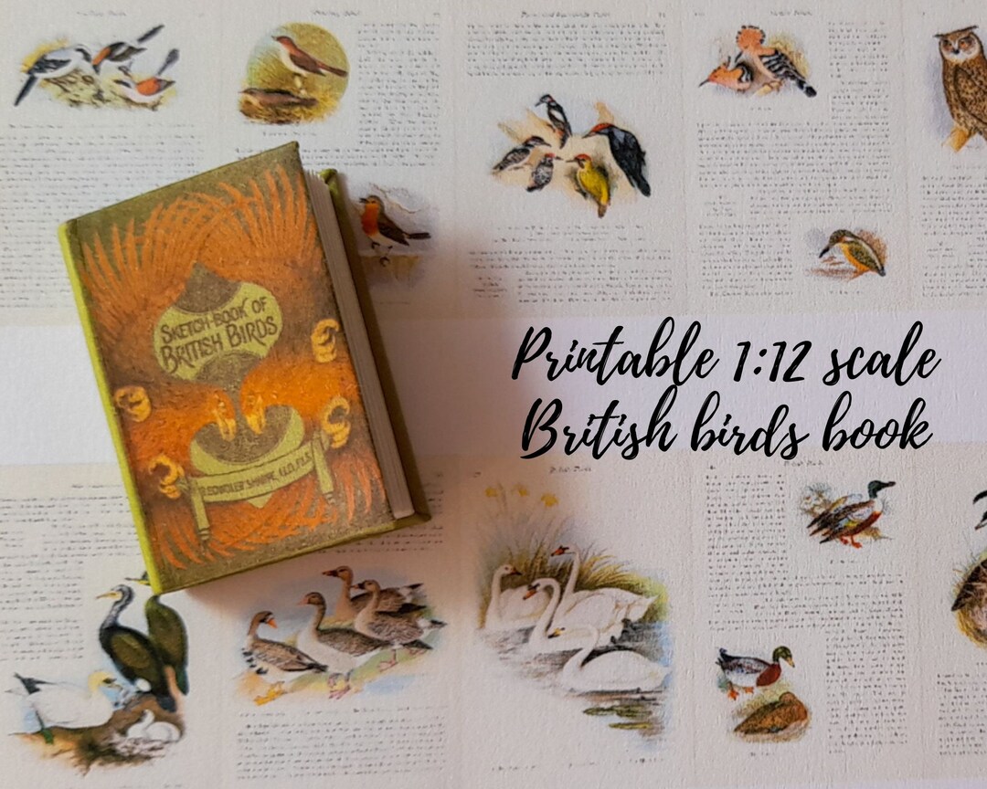 Printable Miniature Illustrated British Bird Book From 1898 , 1:12 ...