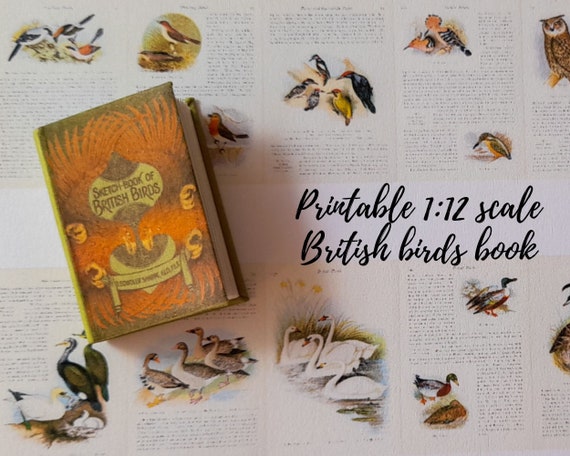 Printable Miniature Illustrated British Bird Book From 1898 - Etsy
