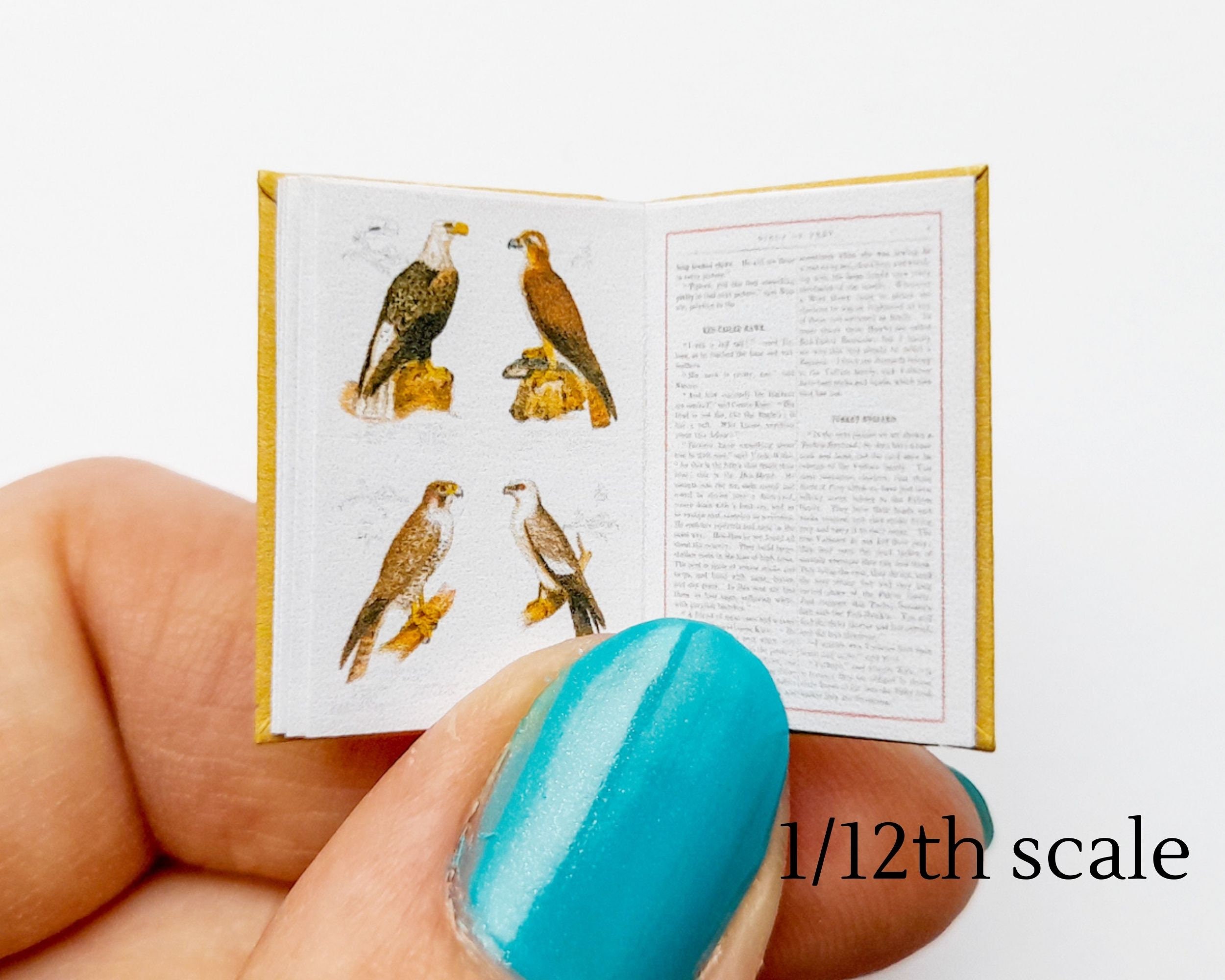 Miniature Vintage Childrens' Birds of Prey Book, Openable, Dollhouse ...