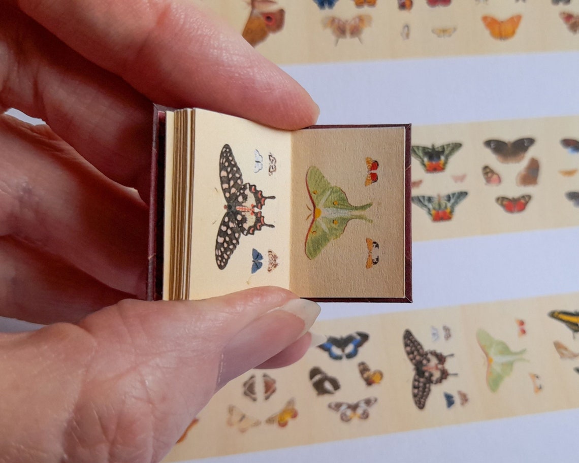 Printable Antique Miniature Illustrated Butterfly Book - Etsy