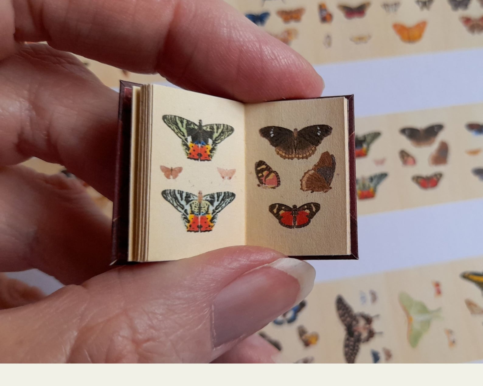 Printable Antique Miniature Illustrated Butterfly Book - Etsy