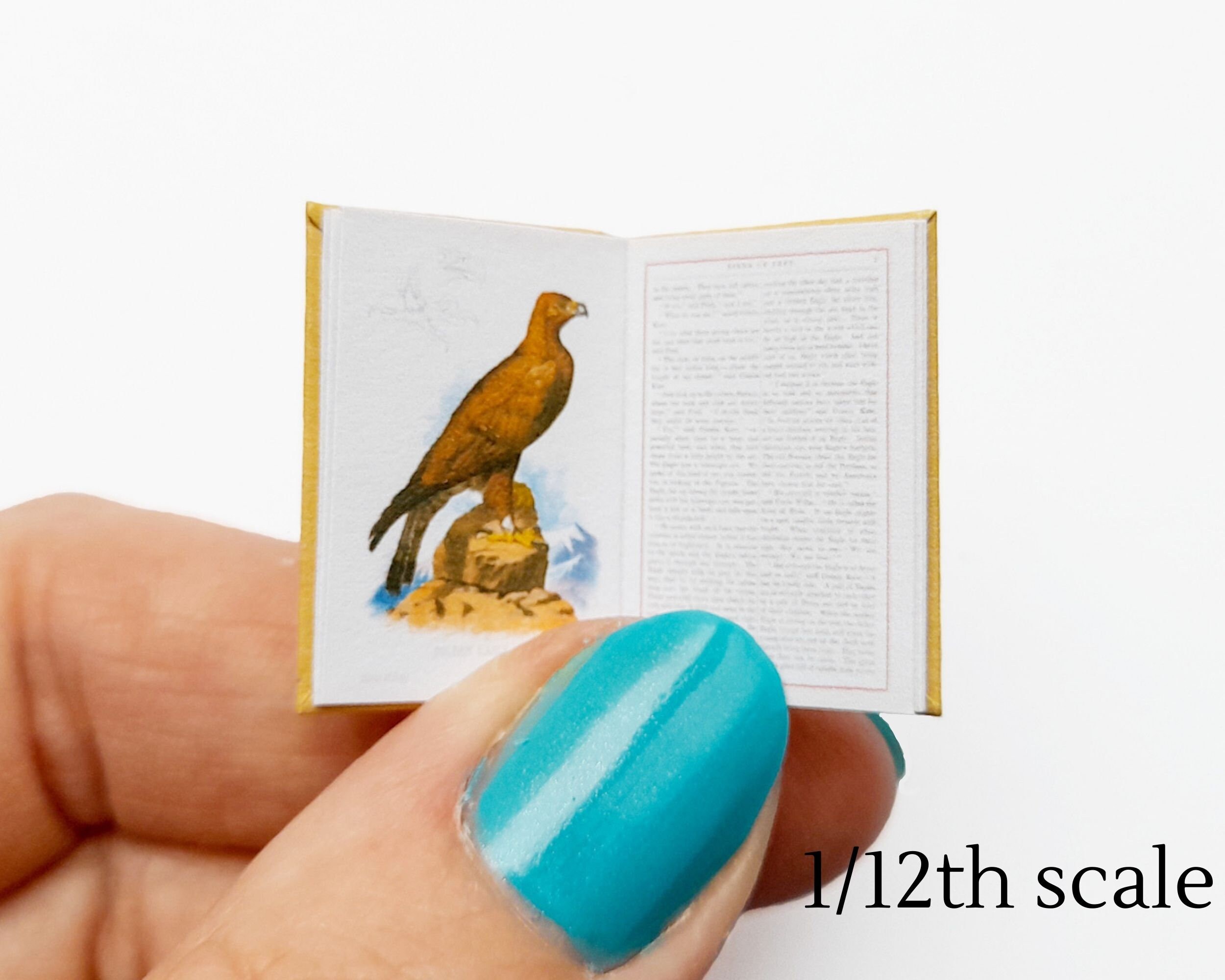 Miniature Vintage Childrens' Birds of Prey Book, Openable, Dollhouse ...