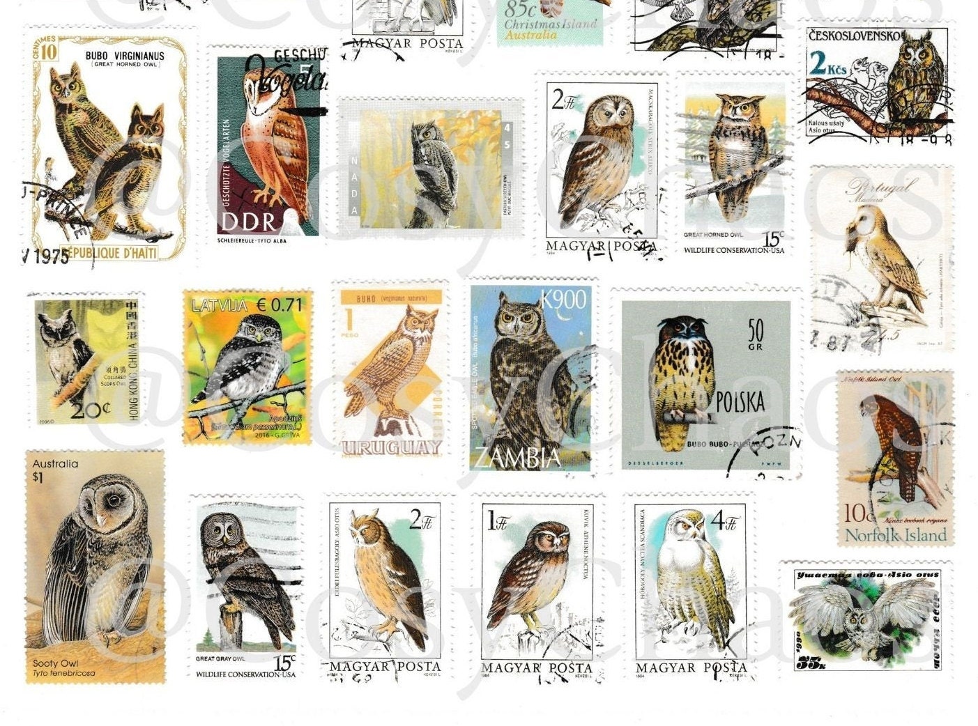 Printable Vintage Owls Postage Stamps Instant Download for - Etsy