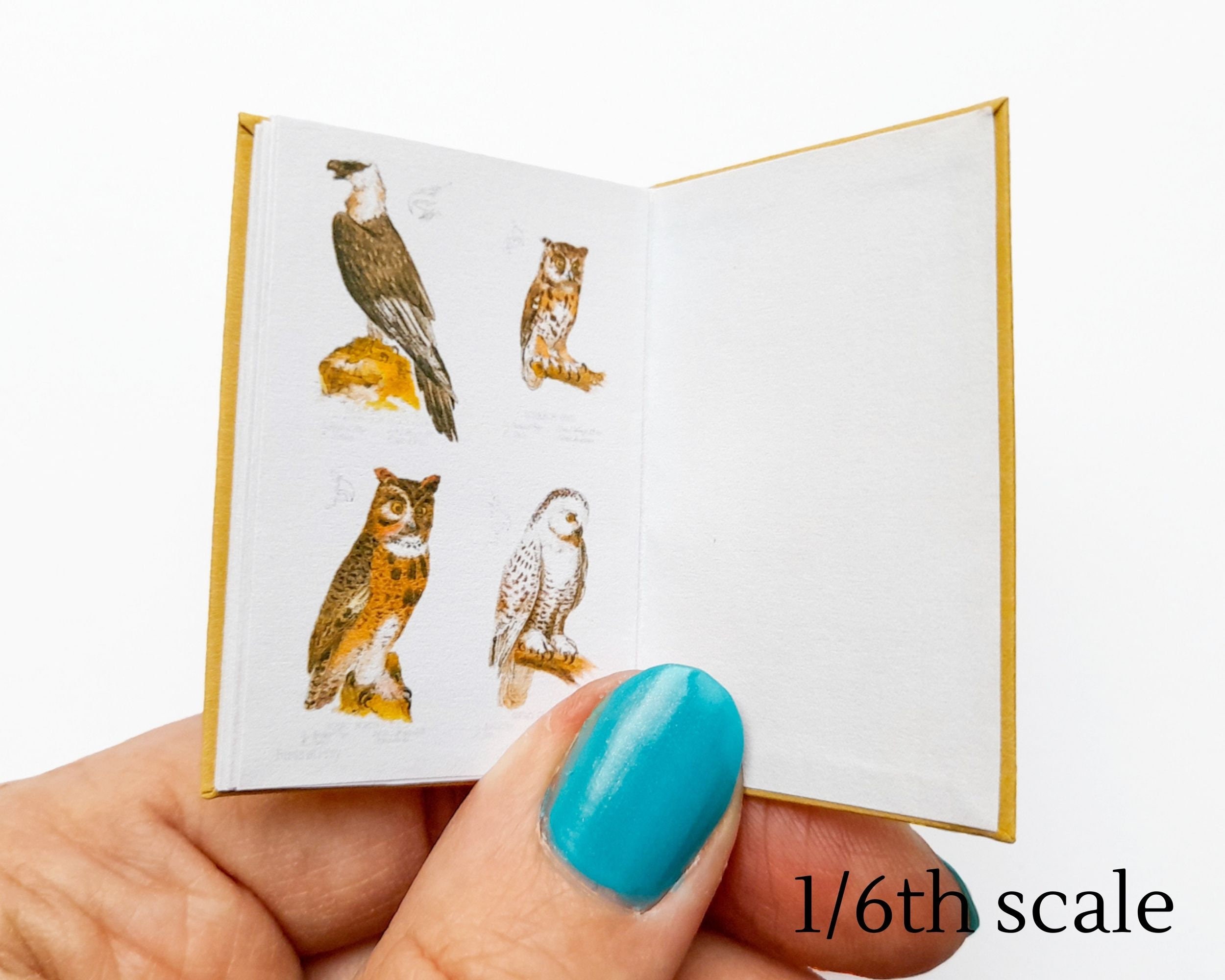Miniature Vintage Childrens' Birds of Prey Book, Openable, Dollhouse ...