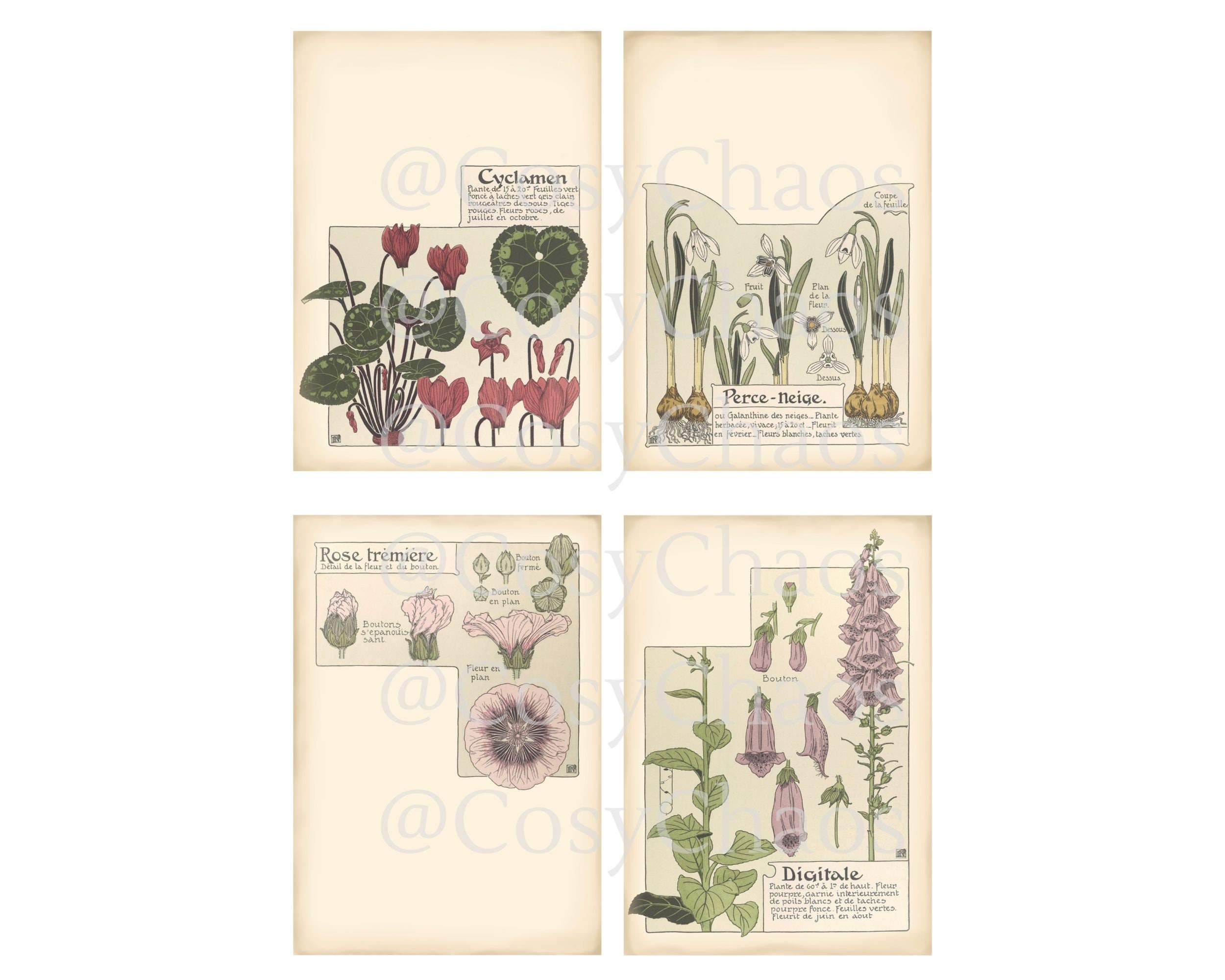 Printable Floral Journal Cards for ATC, Collage Sheets, Junk Journal ...