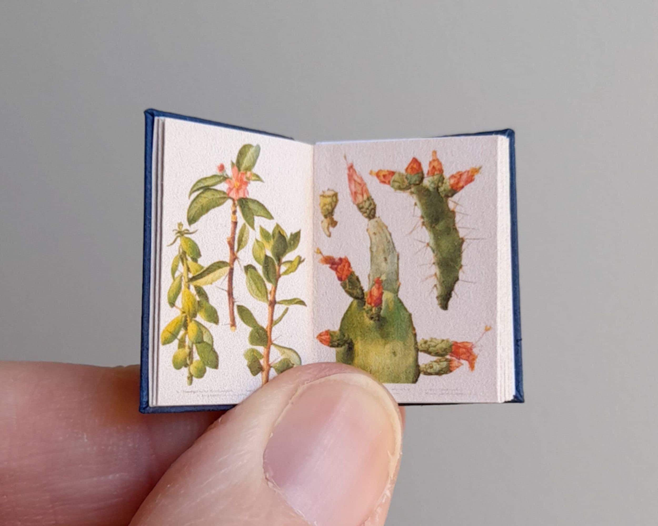 Mini Illustrated Cactus Book (vol 1) Printable, Dollhouse 12th Scale ...