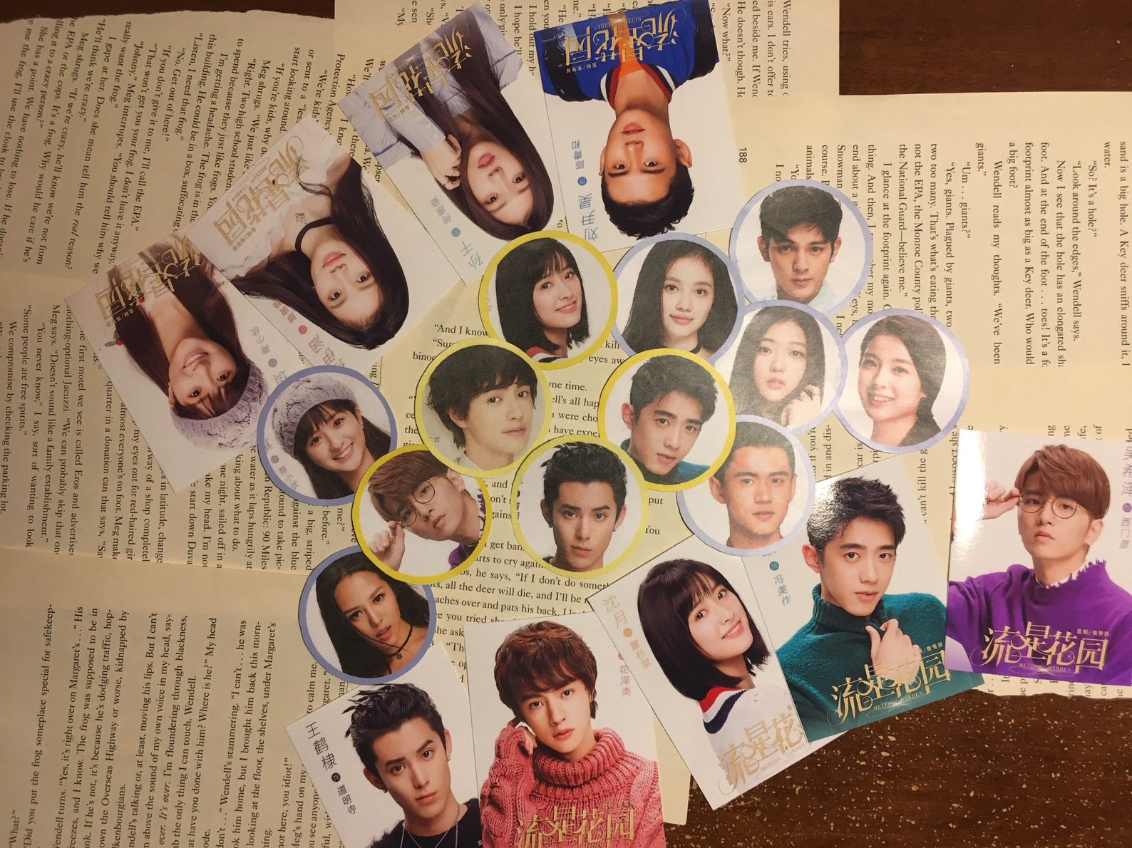 Meteor Garden 2018 Stickers Photocards - Etsy