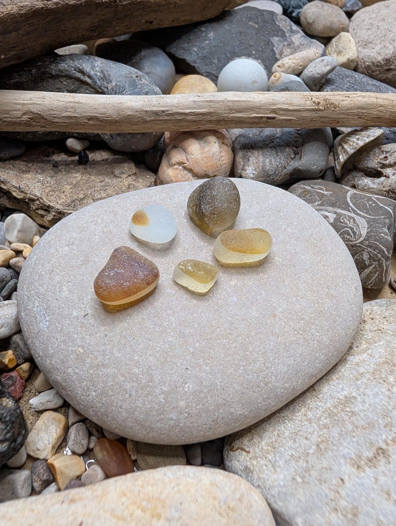 Seaham Beach - Multi Sea Glass Collection - 5 Piece Yellow/amber Set ...
