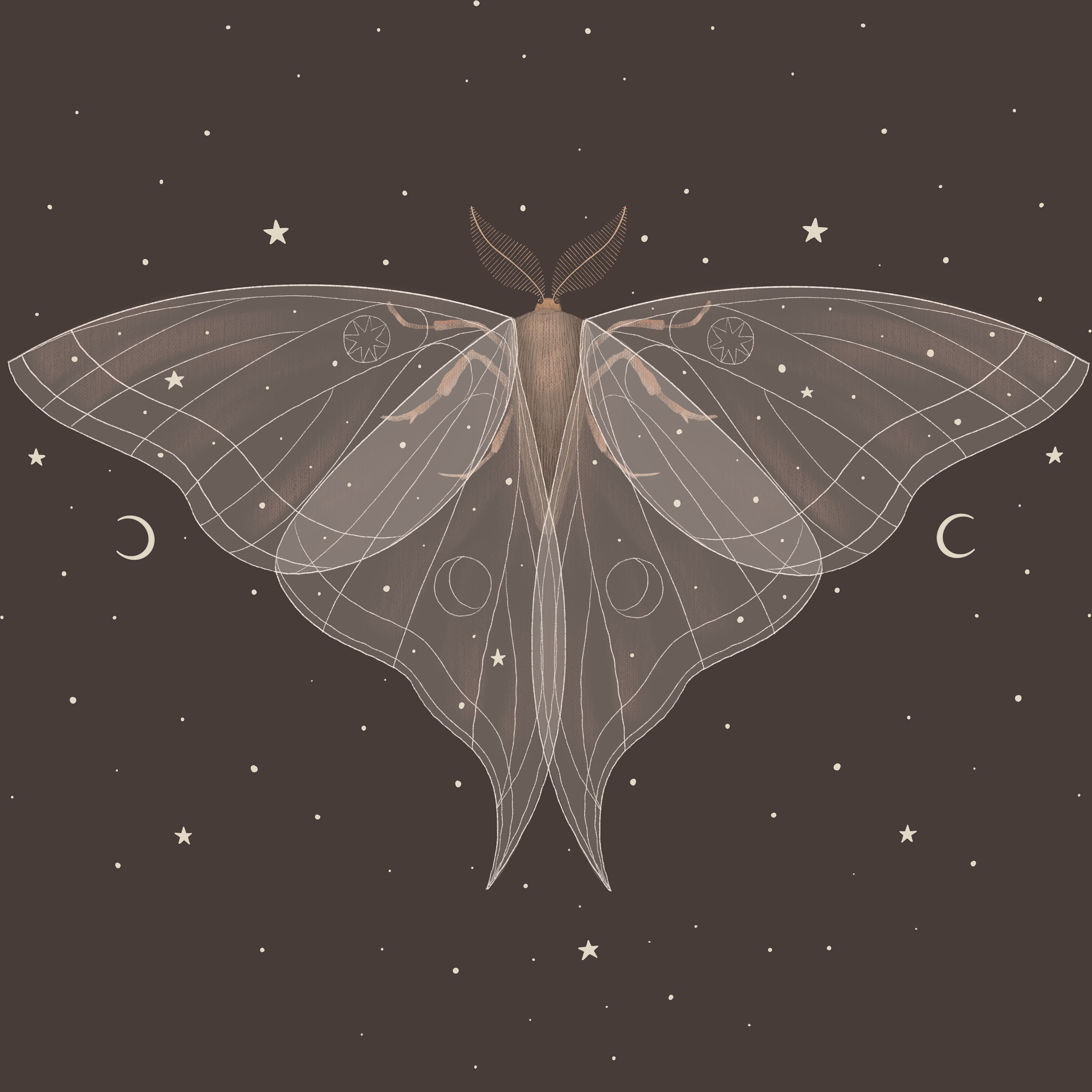 Magical Moth Hoodie Fairy Grunge Whimsigoth Clothing Granola Girl Moth ...