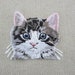 Iron-on Cat Patches, Embroidered Appliques for Jeans, Shirts, Shoes ...