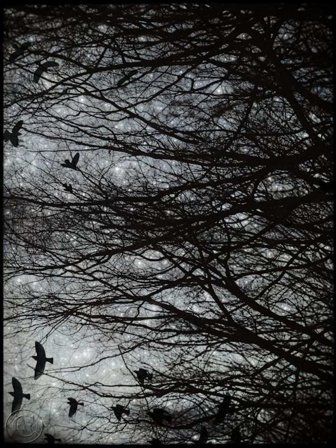 Starry Sky Crow Print, Black Crow Print, Mysterious Flock of Crows ...