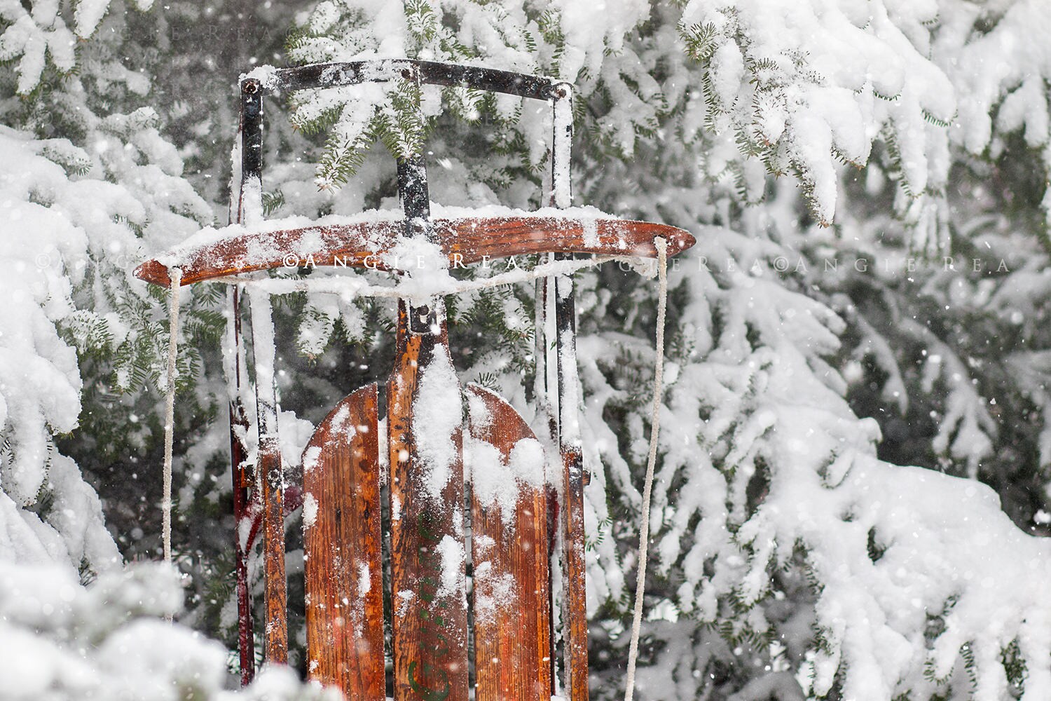 Winter Decor, Modern Rustic Home Decor, Antique Sled Picture, Winter ...