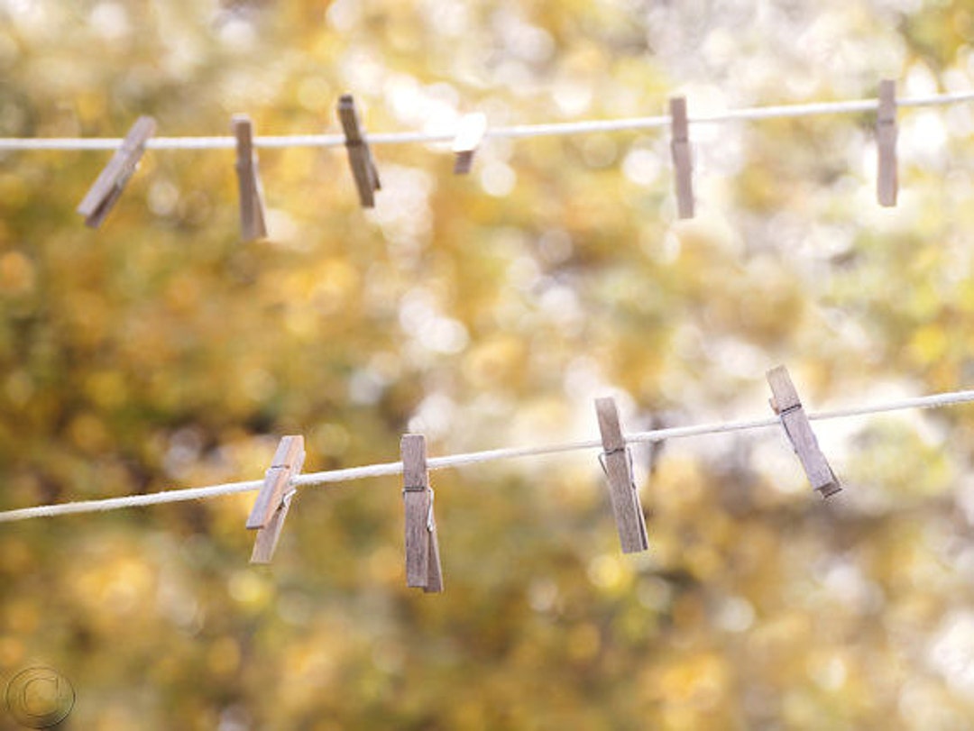 Clothesline and Clothespins Laundry Print, Art for Your Laundry Room ...