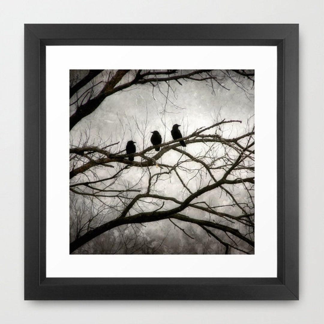Crow Photography, Black Crow Print, 3 Crows, Mysterious Crow Print ...