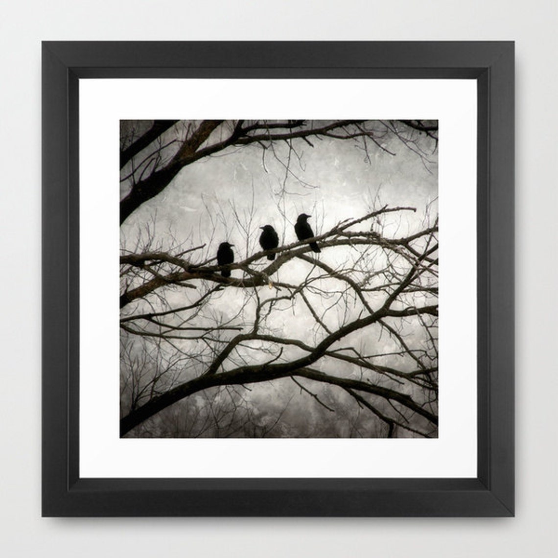 Crow Photography, Black Crow Print, 3 Crows, Mysterious Crow Print ...