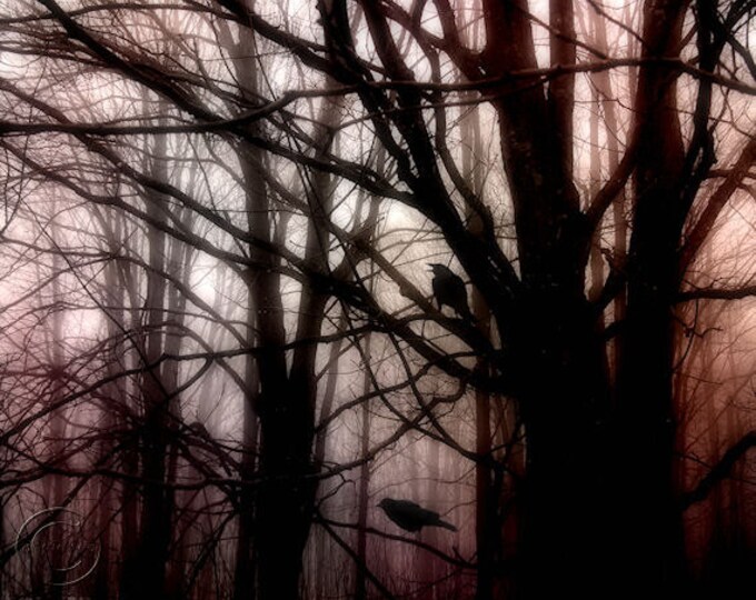 Crow Print 8 X 10 Two Crows, Red Dark Mysterious Forest, Crow Art ...