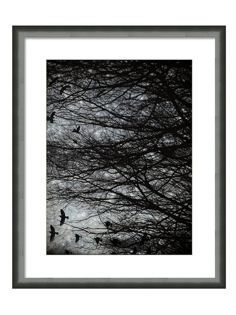 Starry Sky Crow Print, Black Crow Print, Mysterious Flock of Crows ...