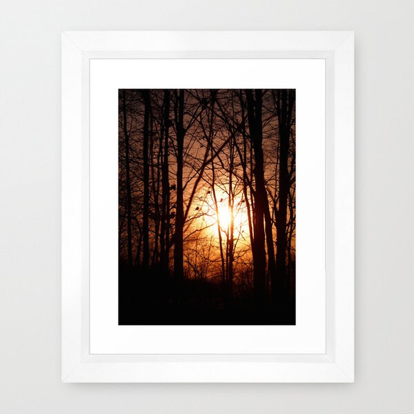 Sunset, Forest Photography, in the Woods at Night, Orange, Yellow, Tree ...