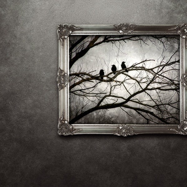 Crow Art - Etsy