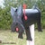 Dog Mailboxes Siberian Husky Mailbox - Etsy