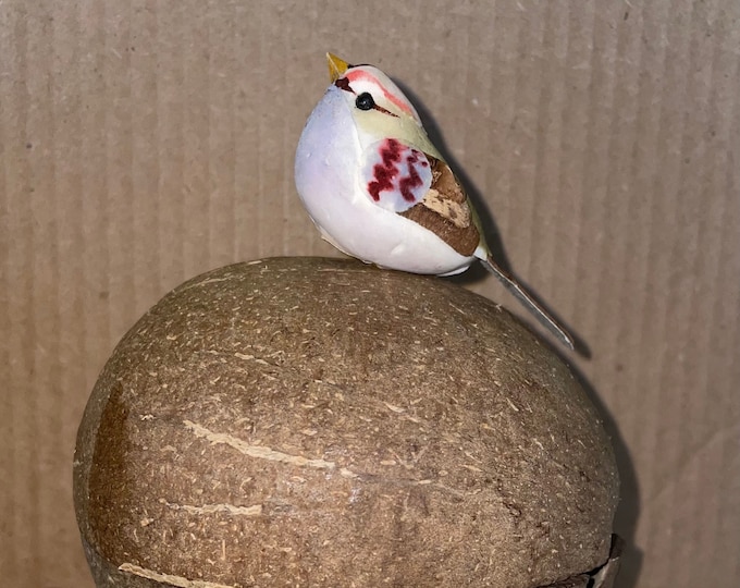 Greeting Card, African or European Swallows Carrying a Coconut, Monty ...