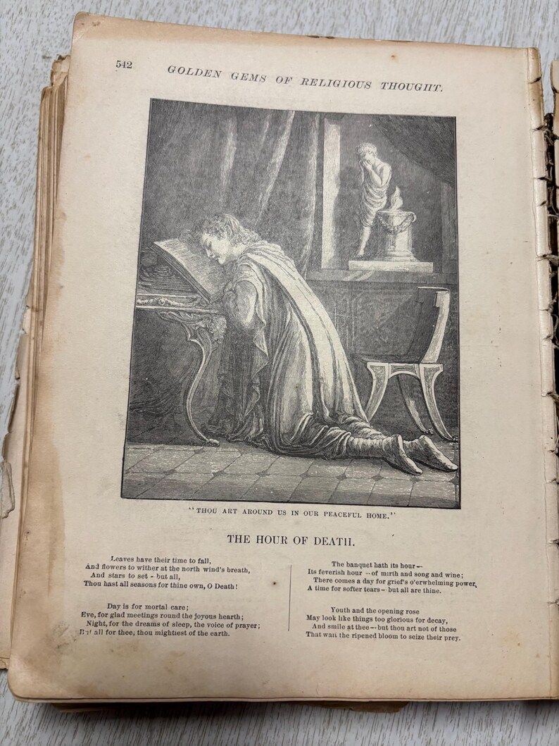 The Beautiful Story 1880s Poor Condition Nice Artwork Salvage - Etsy