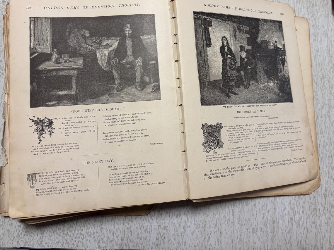 The Beautiful Story 1880s Poor Condition Nice Artwork Salvage - Etsy
