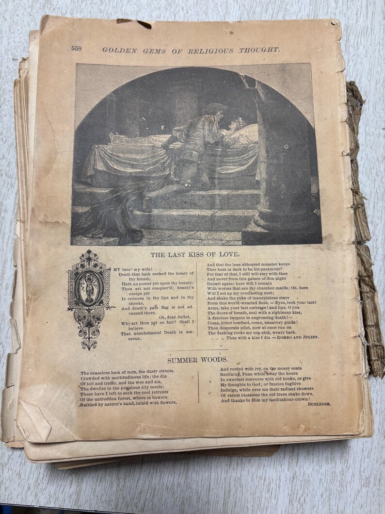 The Beautiful Story 1880s Poor Condition Nice Artwork Salvage - Etsy