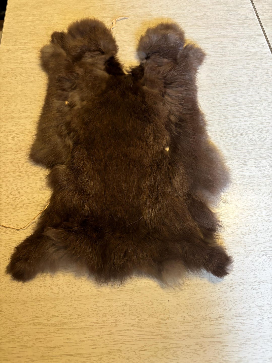 Rabbit Pelt Assorted Natural Colors for Crafts - Etsy