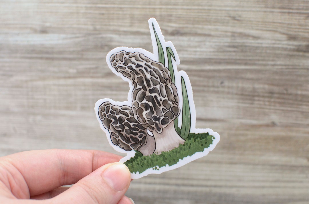 Morel Mushroom Sticker - Etsy