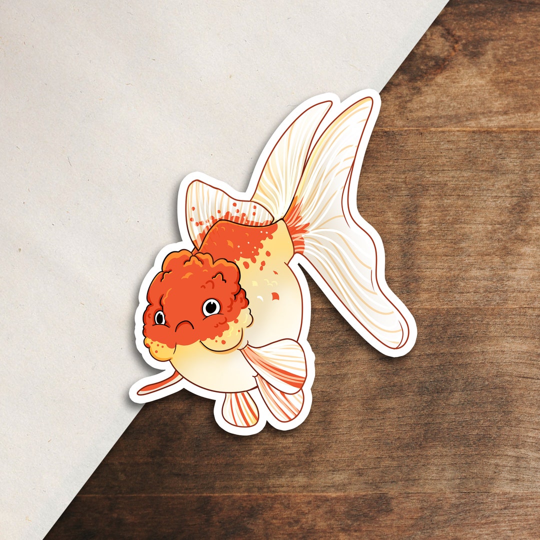Oranda Goldfish Vinyl Sticker - Etsy