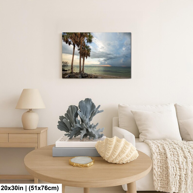 Dramatic Gulf Coast Sunset: Tampa Bay Palm Tree Storm Photography Print ...