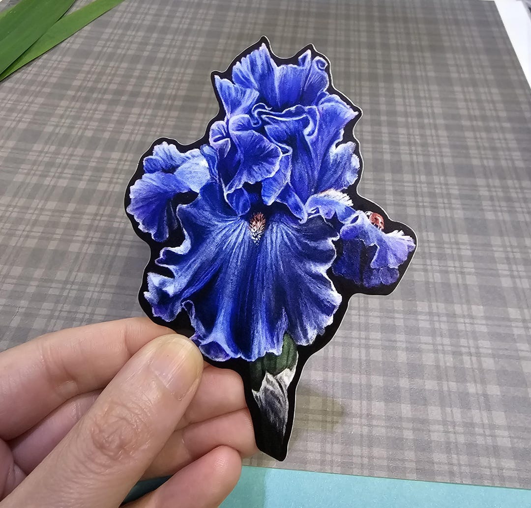 4 Inch Purple Bearded Iris Vinyl Sticker, Blue Iris, Durable Waterproof ...