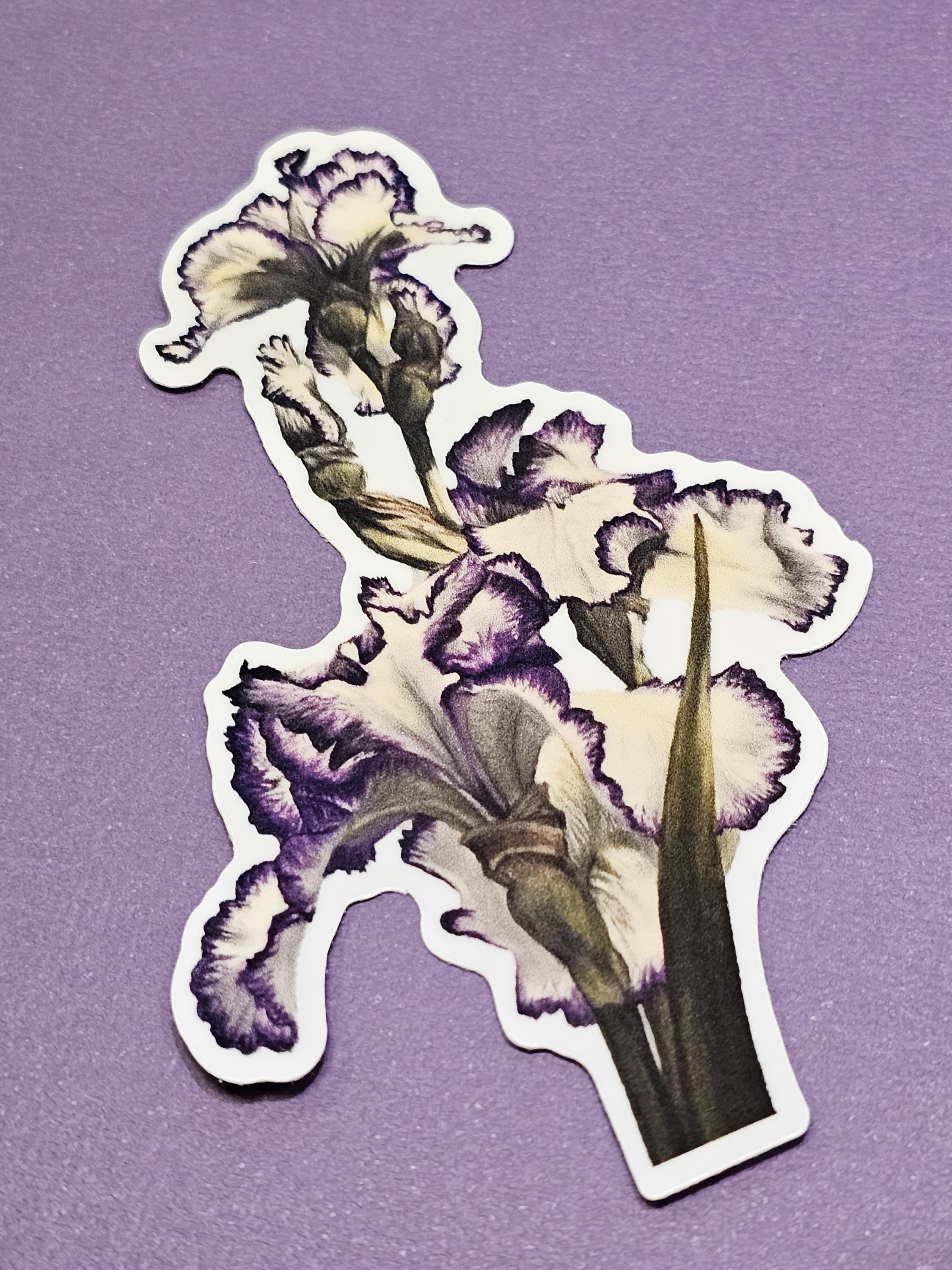 4 Inch Bearded Iris Rare Quality Schreiner's Iris Vinyl Sticker, for ...