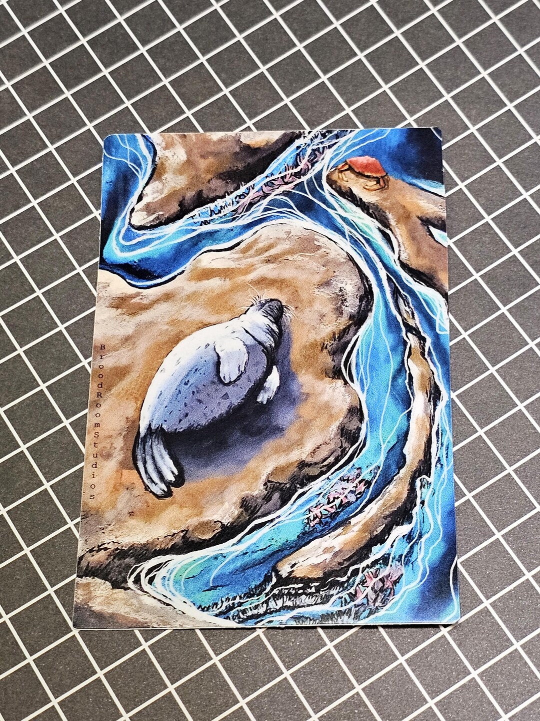 4 Inch Spotted Harbor Seal and Crab Vinyl Stickers, Coast Beach Ocean ...