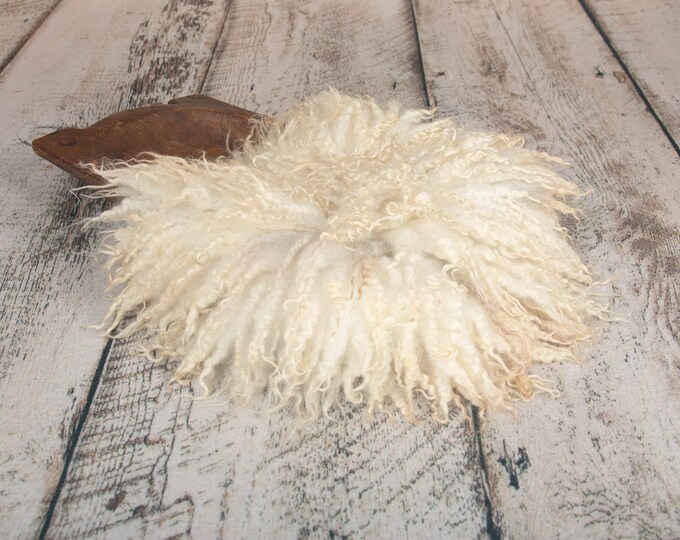 19" Curly Shaggy Wool Felted Layer, Round Flokati, Photo Prop for ...