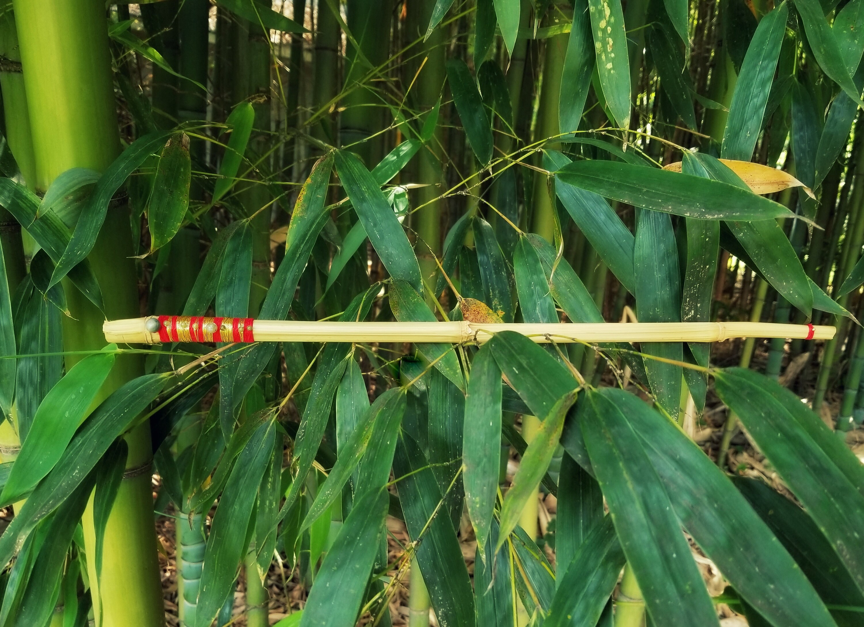 Bamboo Prosperity Magic Wand. Chinese Staff Wand. Lucky Wand. - Etsy UK