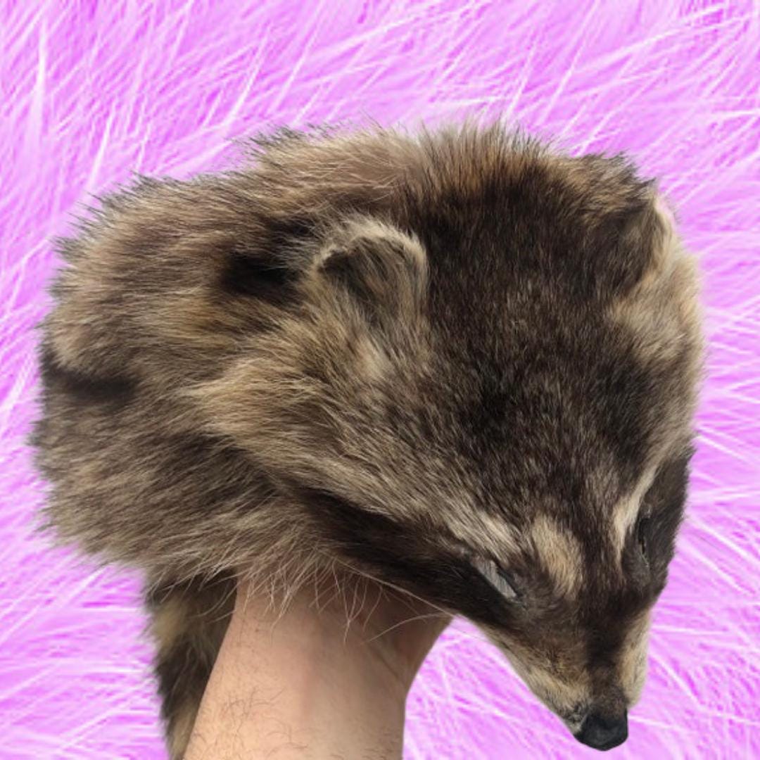 Davy Crockett Raccoon Hat, Fur Hat, Real Fur, Leather Lining, Hat for ...