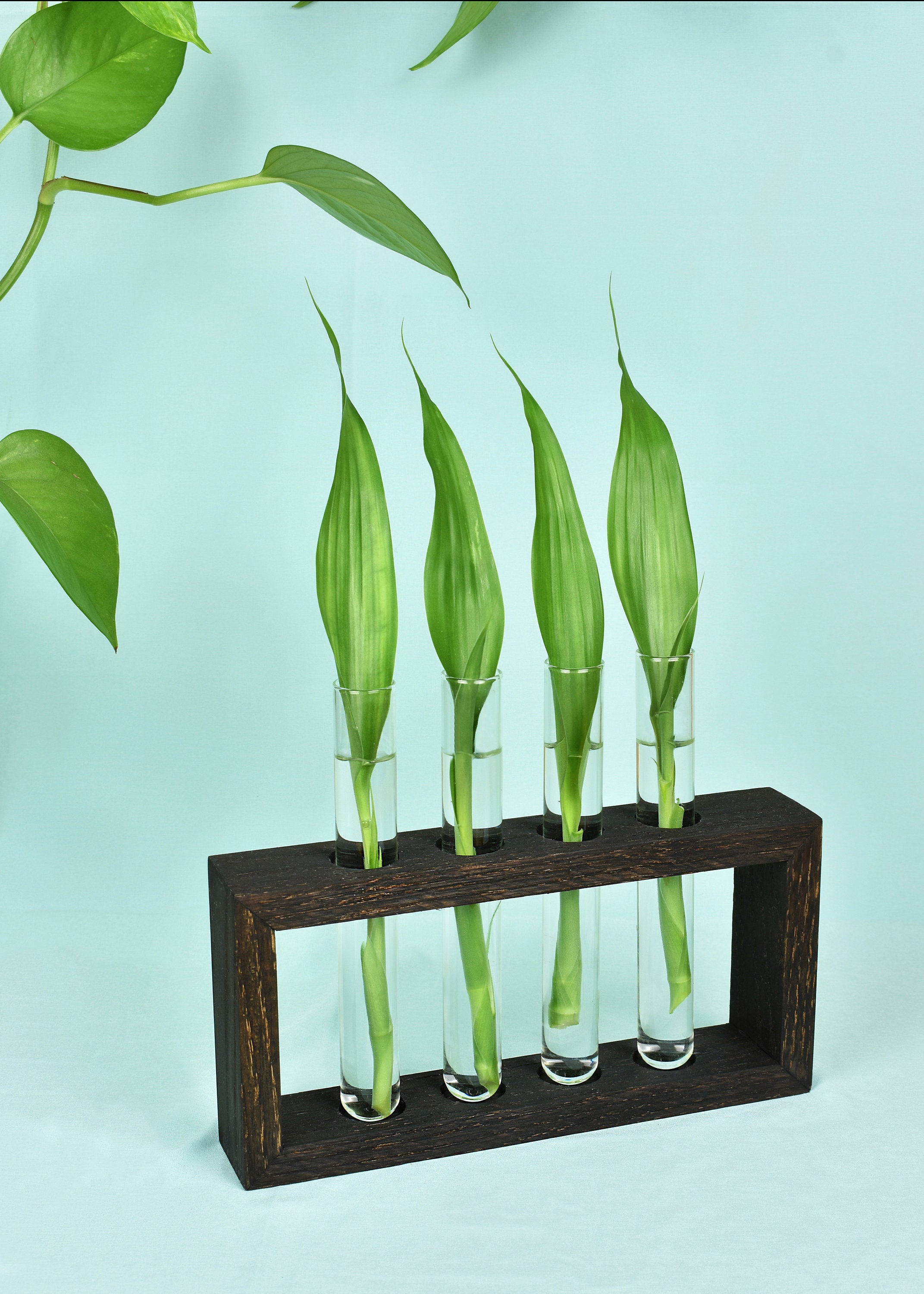 Plant Propagation Station With Glass Test Tubes - 4 Slot Red Oak Wood ...