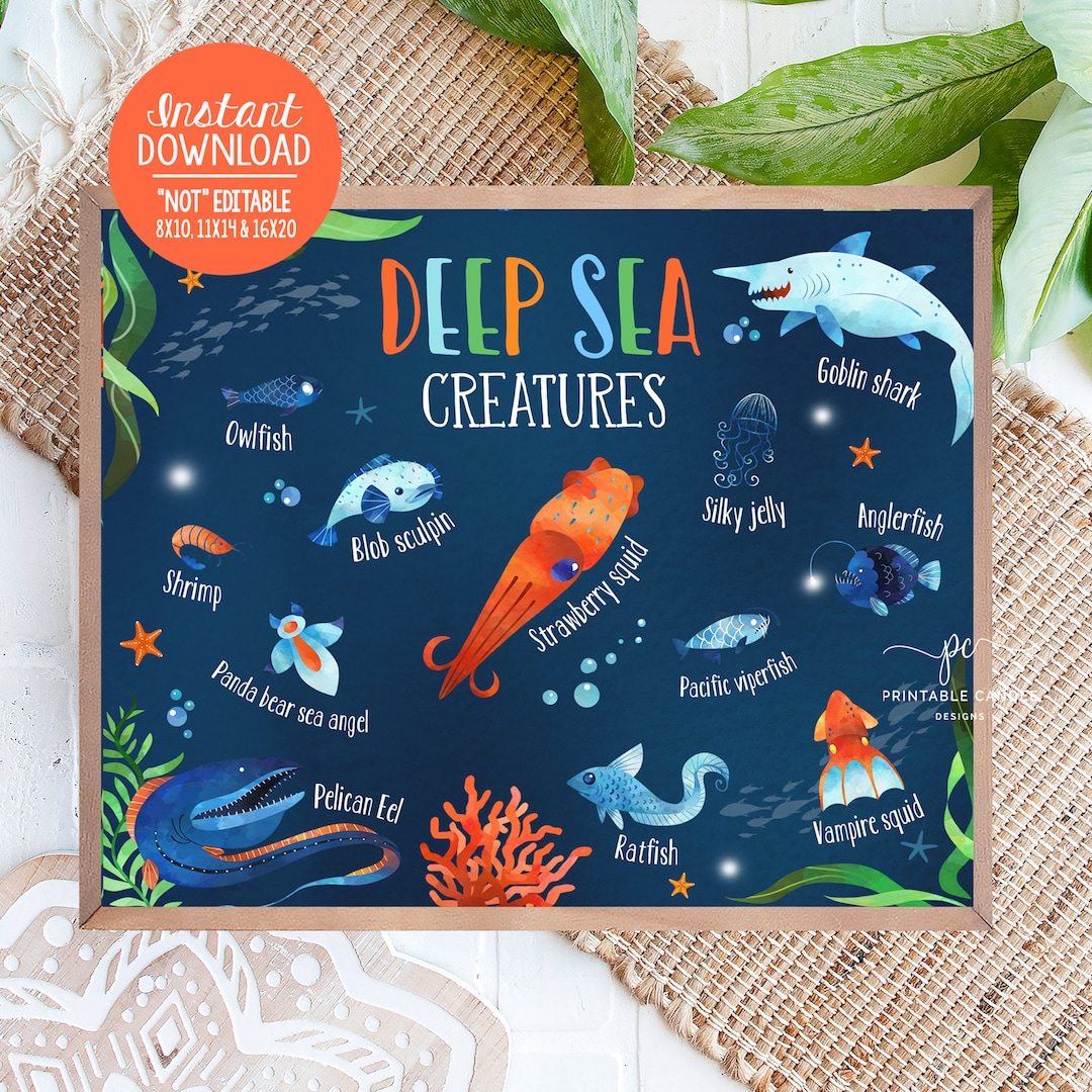 Under the Sea Animals Poster Sign Deep Sea Creatures Boy Birthday Decor ...