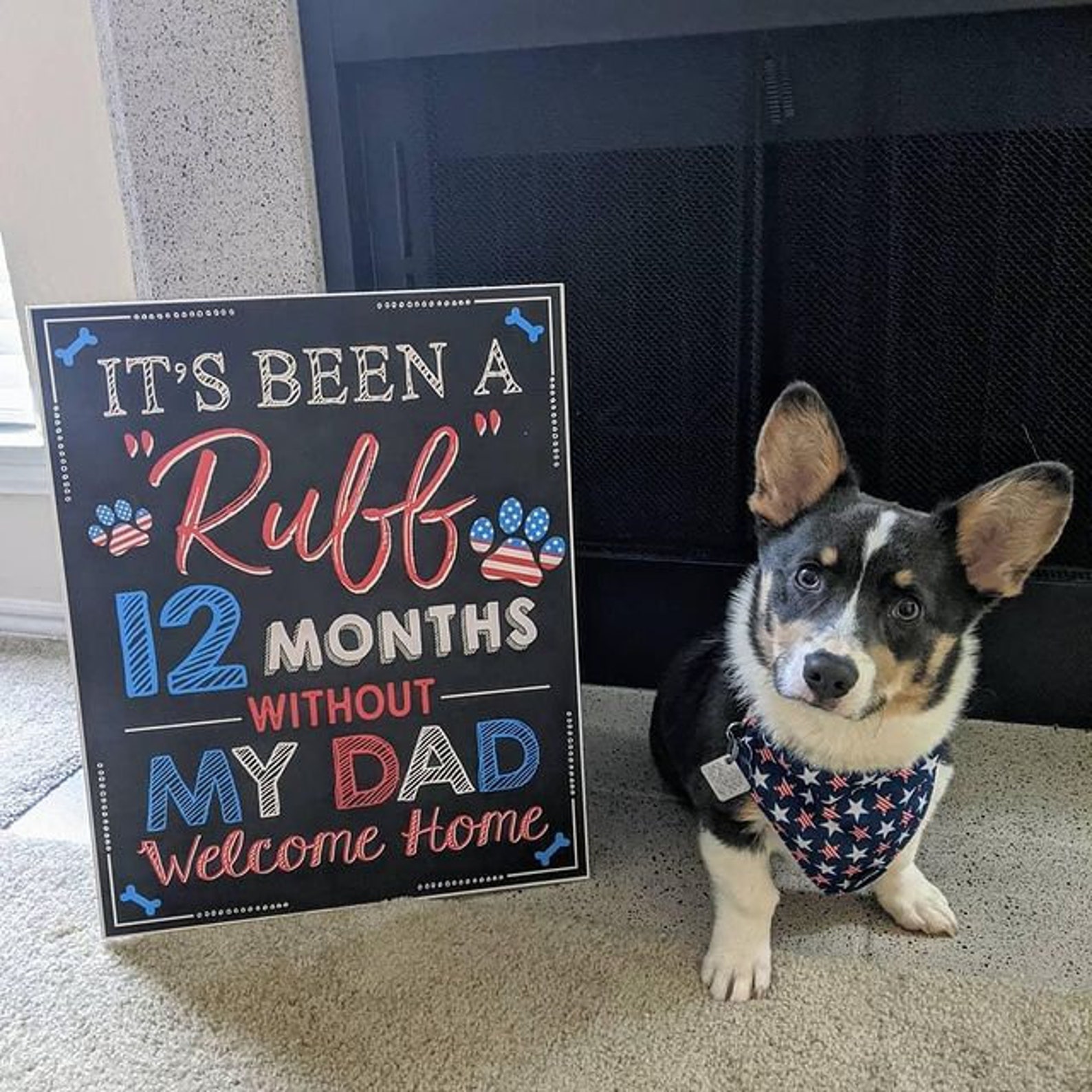 Welcome Home Dog Sign Dad Pet Homecoming Back From Deployment | Etsy