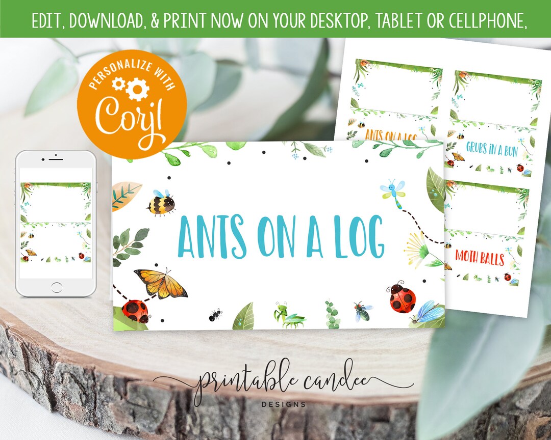 Bug Birthday Food Tents Boy Bug Party Decor Beetle Editable Food Labels ...