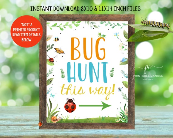Bug Hunt Sign Boy Bugs Birthday Party Decor Bee Scavenger | Etsy