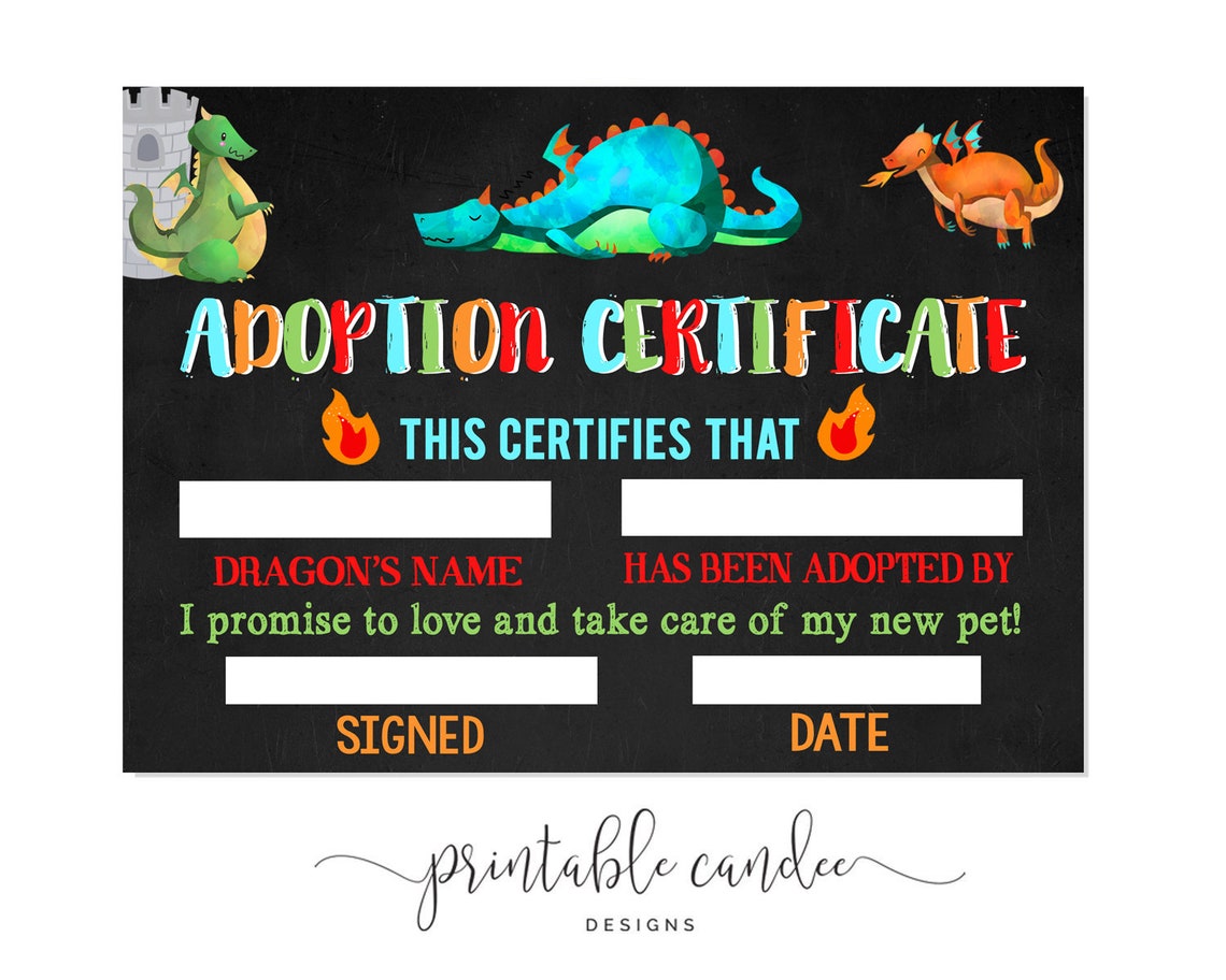 Adopt a Dragon Party Game Boy Adoption Birthday Sign Castle Dragons ...