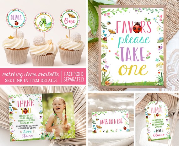 Girl Bug Birthday Party