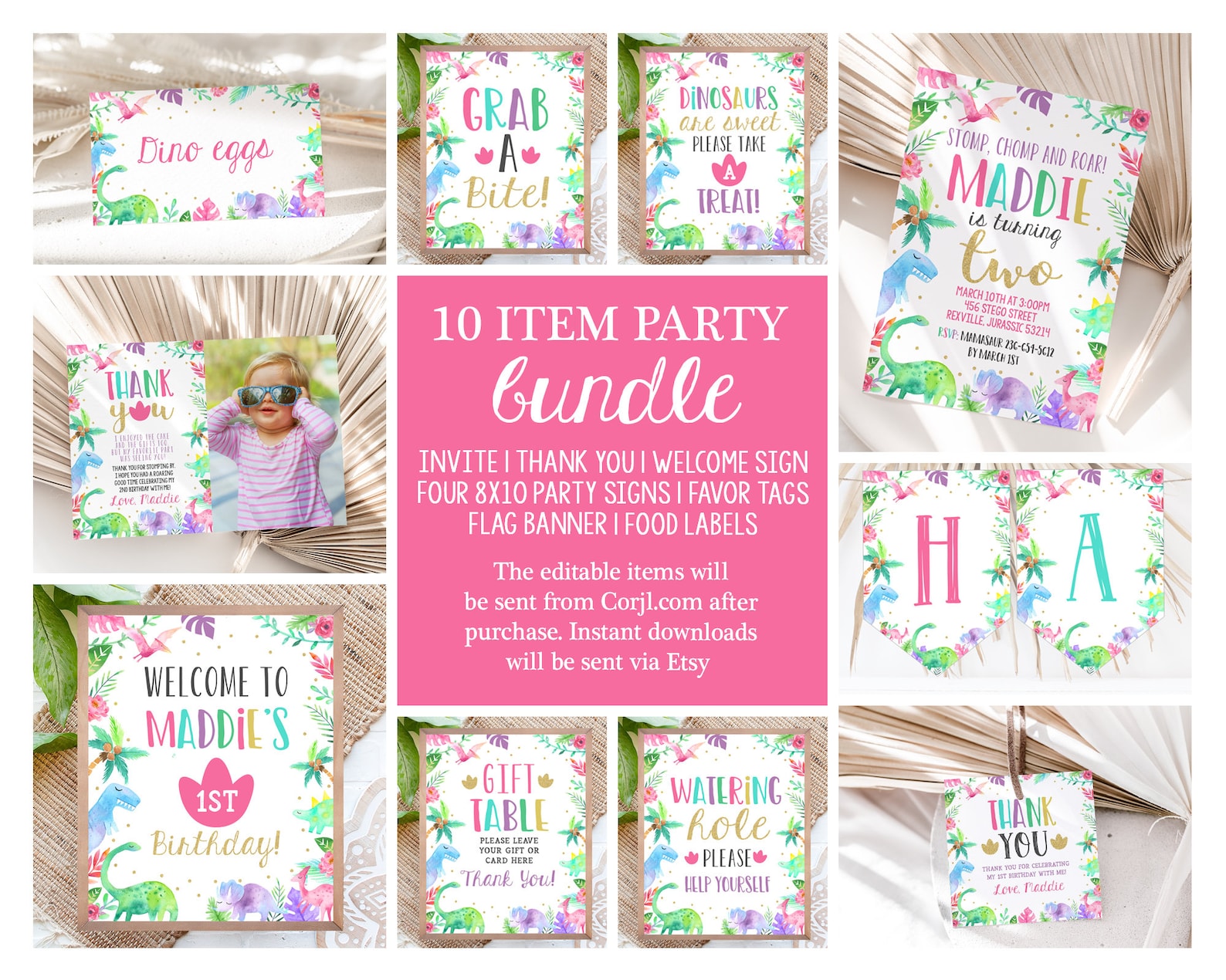 Editable Girl Dinosaur Party Bundle Dino Theme Birthday Decor Pink ...