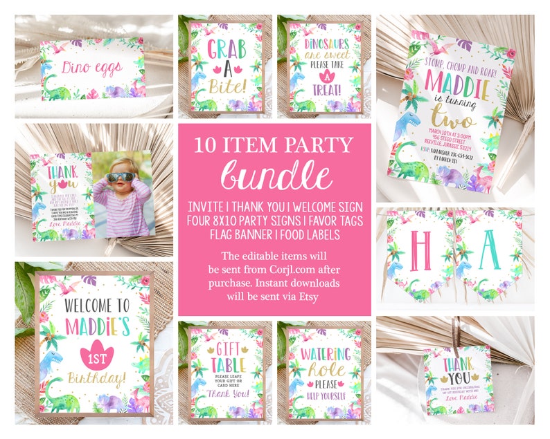 Editable Girl Dinosaur Party Bundle Dino Theme Birthday Decor Pink ...
